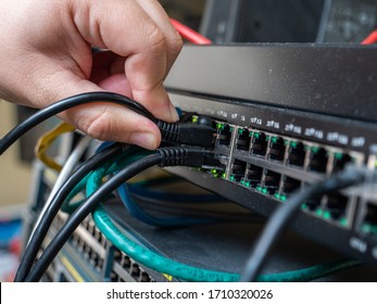 Small Networking Setup Ethernet Cables Being Stock Photo 1710320026 ...