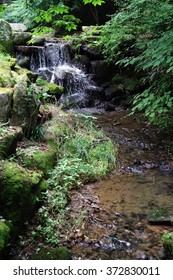 10,717 Small stream woods Images, Stock Photos & Vectors | Shutterstock