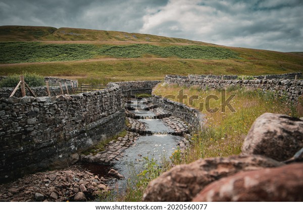 Small Stream Running Through Cobblestone Pathway Stock Photo 2020560077 ...