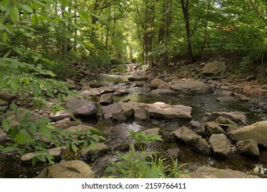 Small Stream Running Through Forest Turns Stock Photo 2159766411 ...
