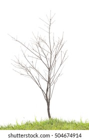 Human Hand Looks Like Tree Roots: vector de stock (libre de regalías ...