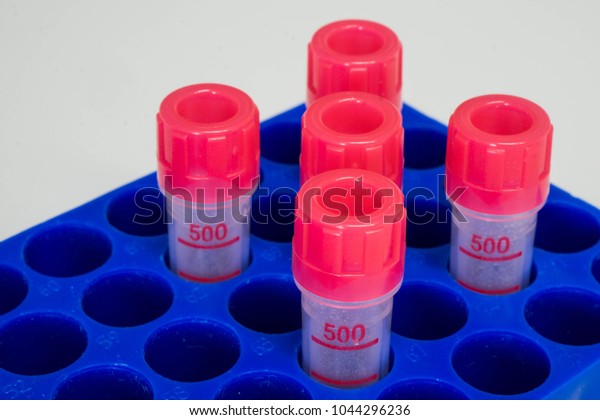 Small Tubes Laboratory Environment Stock Photo (Edit Now) 1044296236