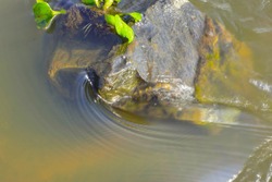 Top view on of the seething water, an Abstract Photo by Schreibikus