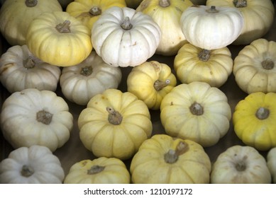 Albino Pumpkins Stock Photo 62404414 | Shutterstock