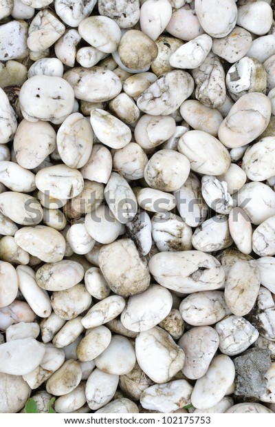 Small White Rock Pattern Stock Photo 102175753 | Shutterstock