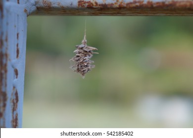 81 Small worm casing Images, Stock Photos & Vectors | Shutterstock