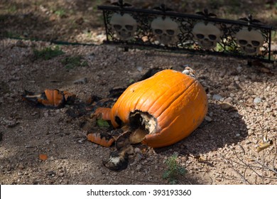 590 Smashed Pumpkin Images, Stock Photos & Vectors | Shutterstock