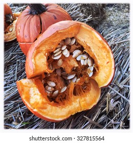 1,664 Broken pumpkin Images, Stock Photos & Vectors | Shutterstock