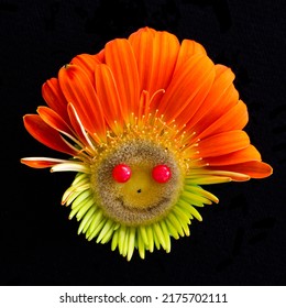 Smiling Face Created Distorted Gerbera Flower Stock Photo 2175702111 ...