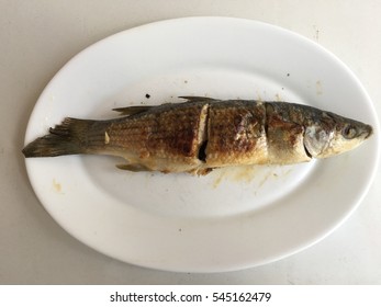 24 imagens de Lisa fish Imagens, fotos stock e vetores | Shutterstock
