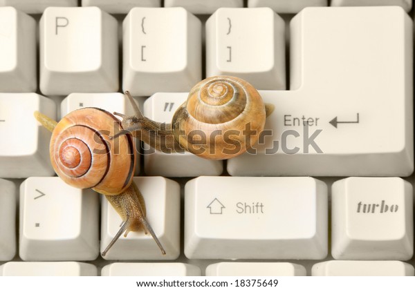 Snails On Computer Keyboard Concept Slow Stock Photo 18375649 ...
