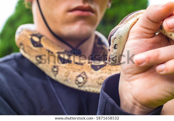 632 imágenes de Reptile handler - Imágenes, fotos y vectores de stock ...