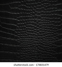 22,002 Black Snakeskin Images, Stock Photos & Vectors | Shutterstock