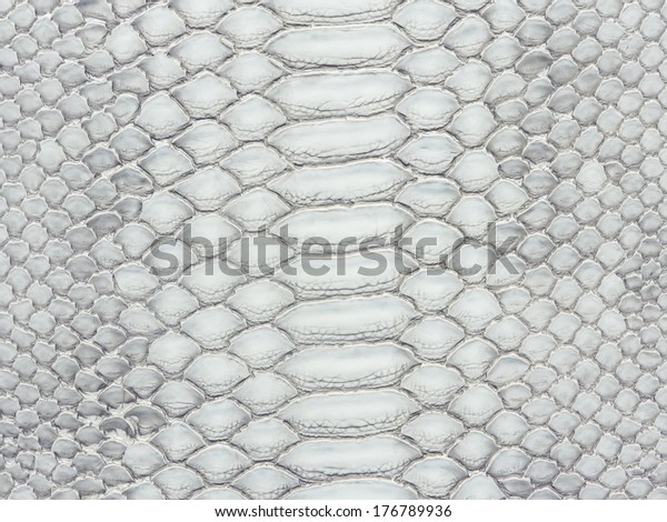 Snake Skin Closeup Pattern Background Stock Photo (Edit Now) 176789936