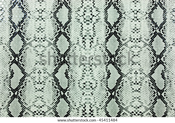 Snake Skin Pattern Stock Photo (Edit Now) 45411484