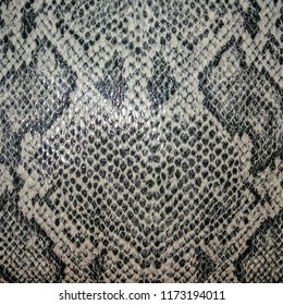 Snake Pattern Piton Skin Stock Illustration 1137214910