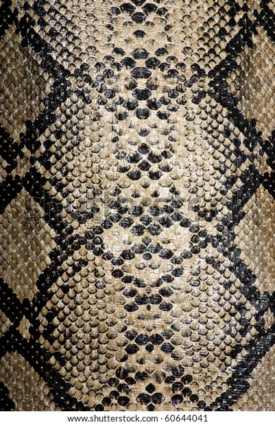 Snake Texture Stock Photo (Edit Now) 60644041
