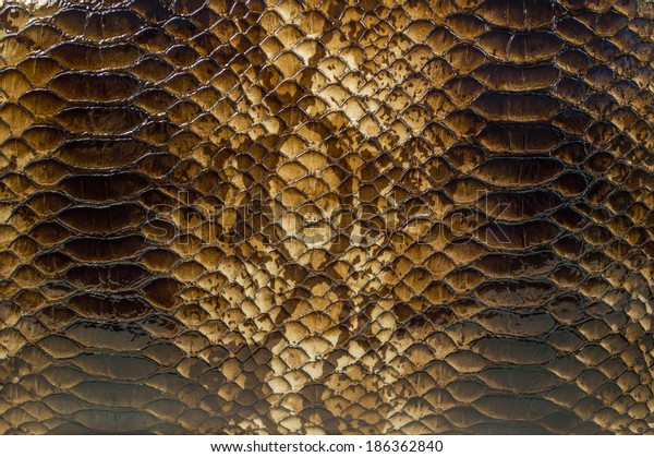 Snakeskin Texture Closeup Stock Photo (Edit Now) 186362840