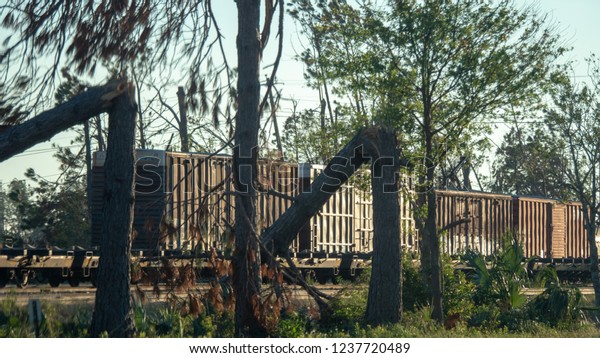 Snapped Trees Along Train Track Following Stock Photo 1237720489 ...