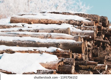 47,008 Log in snow Images, Stock Photos & Vectors | Shutterstock