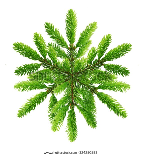 Snowflake Pine Tree Branch Isolated On Stock Photo 324250583 | Shutterstock