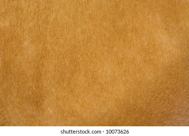 Soft Leather Texture Stock Photo 10073626 | Shutterstock