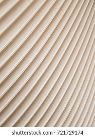 63 Offwhite paper texture background Images, Stock Photos & Vectors ...
