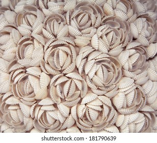 Soft Seashell Background Stock Photo 181790639 | Shutterstock