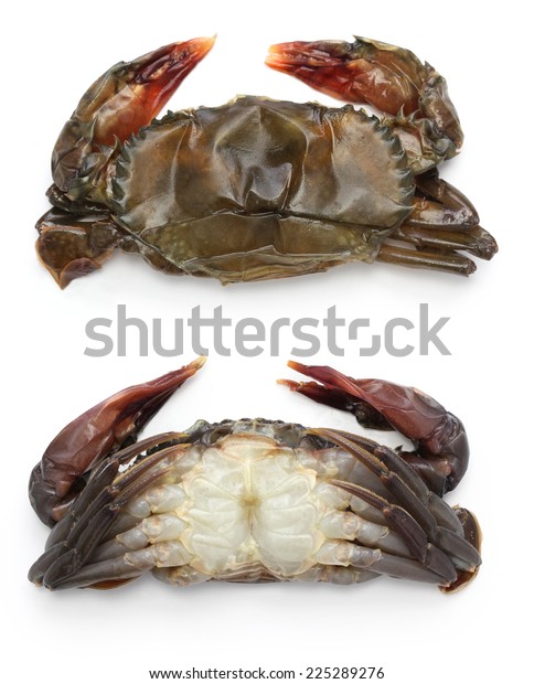 Soft Shell Crab Front Back Views Stock Photo (Edit Now) 225289276