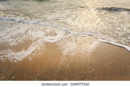 55 Swimming In Cochin Images, Stock Photos & Vectors | Shutterstock