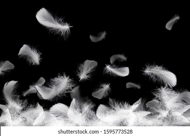 Soft White Feather Falling Down Air Foto de stock 1595773528 | Shutterstock