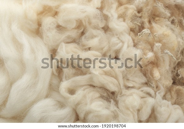 Soft White Wool Texture Background Closeup Stock Photo 1920198704 ...