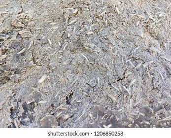 Soil Backdrop Surface Texture Stock Photo 1206850258 | Shutterstock