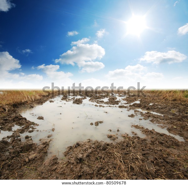 Soil Background Mud Puddle Marsh Well Stock Photo (Edit Now) 80509678