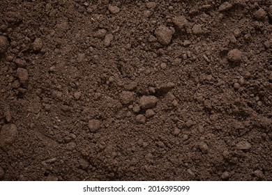 Soil Closeup Background Texture Structure Earth Stock Photo 2016395099 ...