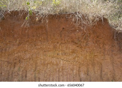 Soil Cut Layer Stock Photo 656040067 | Shutterstock