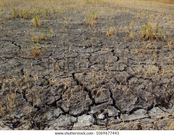 Soil Erosion Texture Background Stock Photo 1069677443 | Shutterstock