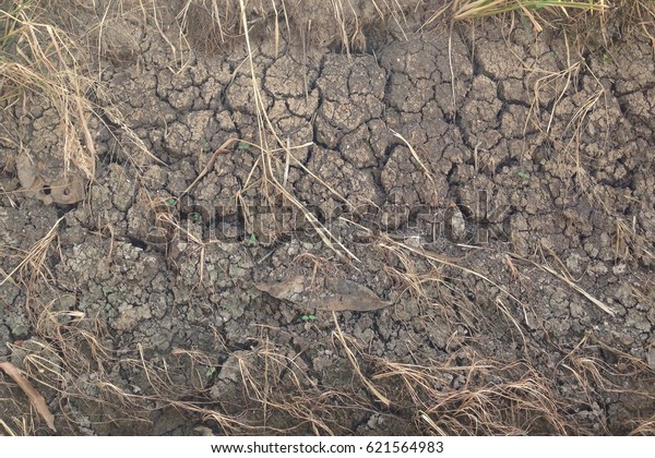 Soil Erosion Texture Background Stock Photo 621564983 | Shutterstock