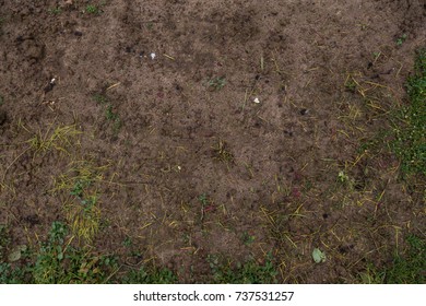 Soil Grass Background Texture Stock Photo 737531257 | Shutterstock