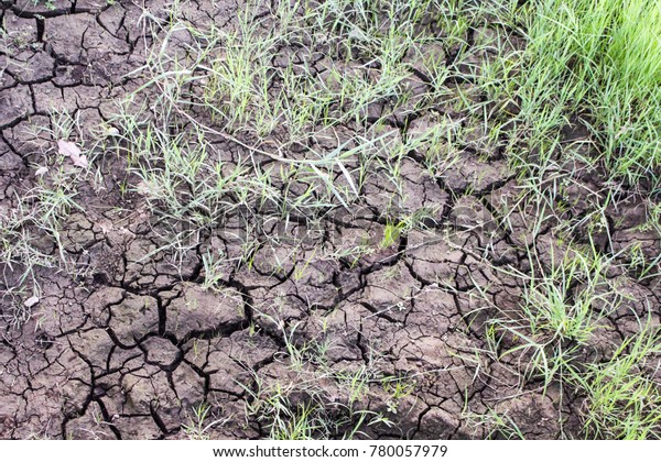 Soil Grass Texture Background Stock Photo 780057979 | Shutterstock