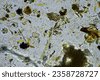 9+ Hundred Archaea Royalty-Free Images, Stock Photos & Pictures ...