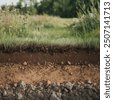 45,858 Sandy Soil Royalty-Free Images, Stock Photos & Pictures ...
