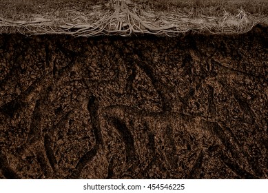 Soil Root Background Stock Photo 454546225 | Shutterstock