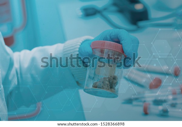 Soil Sample Laboratory Testing Examination Stock Photo (Edit Now ...