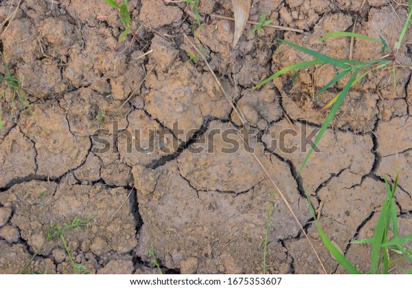Soil Separation Soil Cracking Drought Stock Photo 1675353607 | Shutterstock