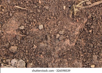 9,722 Bad Soil Images, Stock Photos & Vectors | Shutterstock