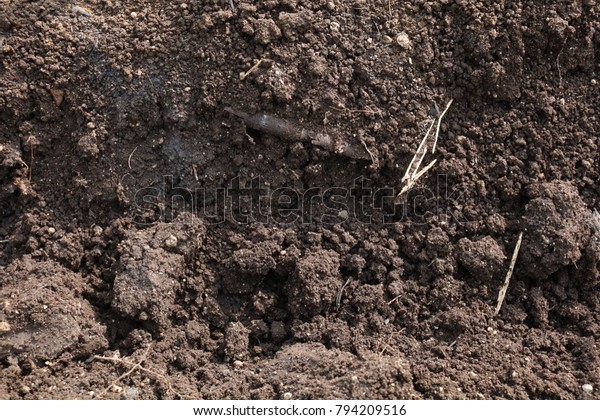 Soil Texture Closeup Stock Photo 794209516 | Shutterstock