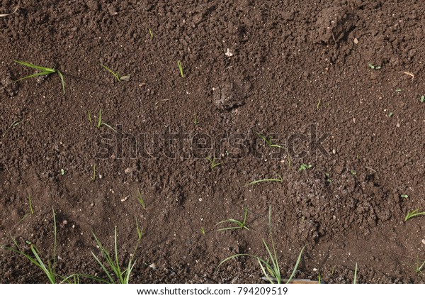 Soil Texture Closeup Stock Photo 794209519 | Shutterstock