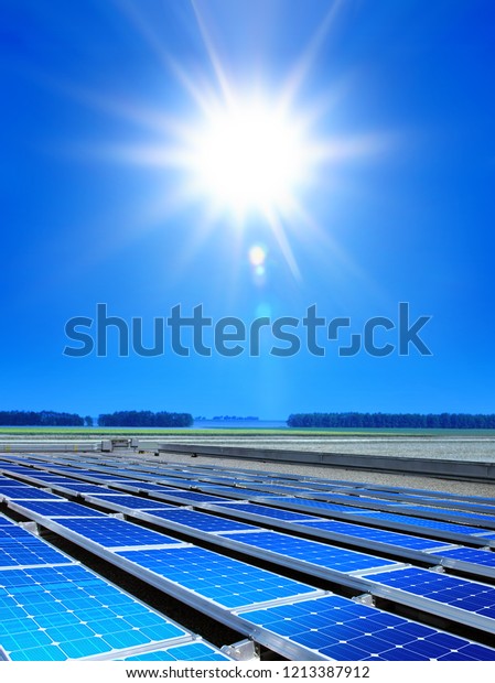 Solar Cell Array Field Renewable Energy Stock Photo (Edit Now) 1213387912