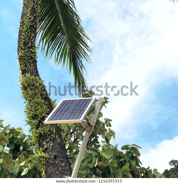 Solar Cell Panel Coconut Tree Stock Photo 1216395313 | Shutterstock